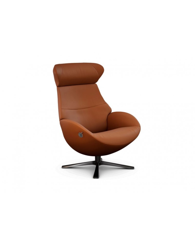 FAUTEUIL GLOBE CONFORM